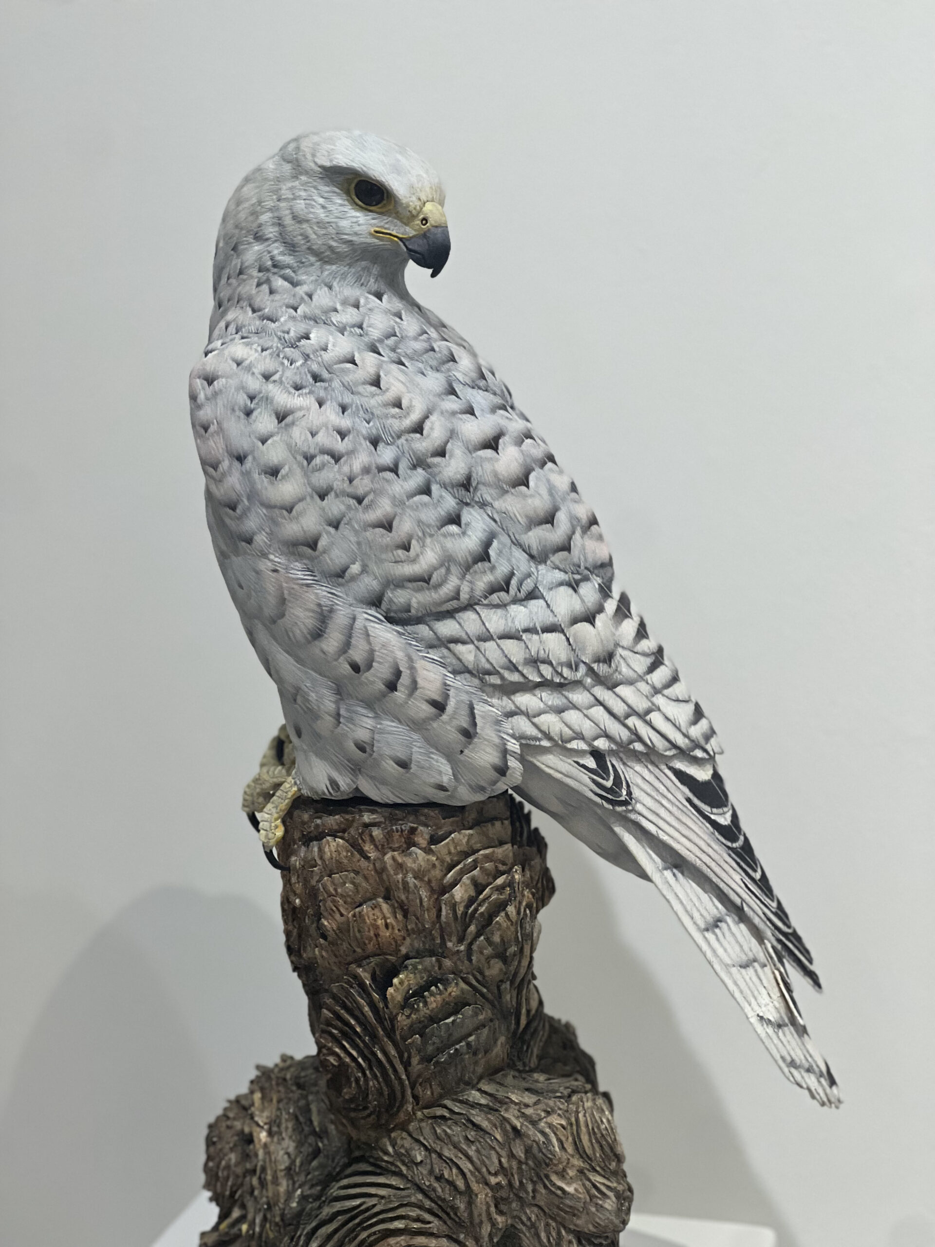 The Goodwin Gallery - SKyPAC