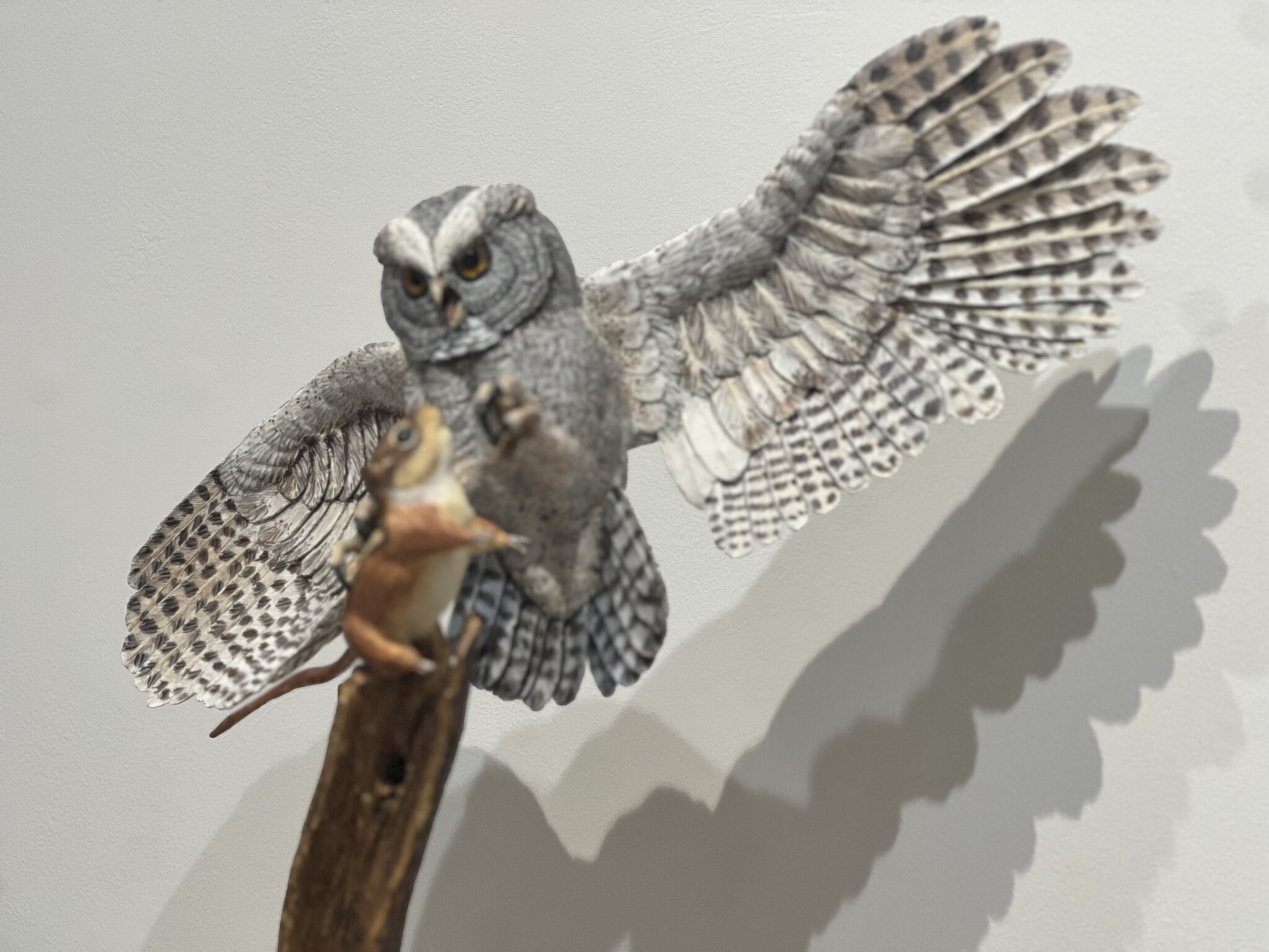 The Goodwin Gallery - SKyPAC