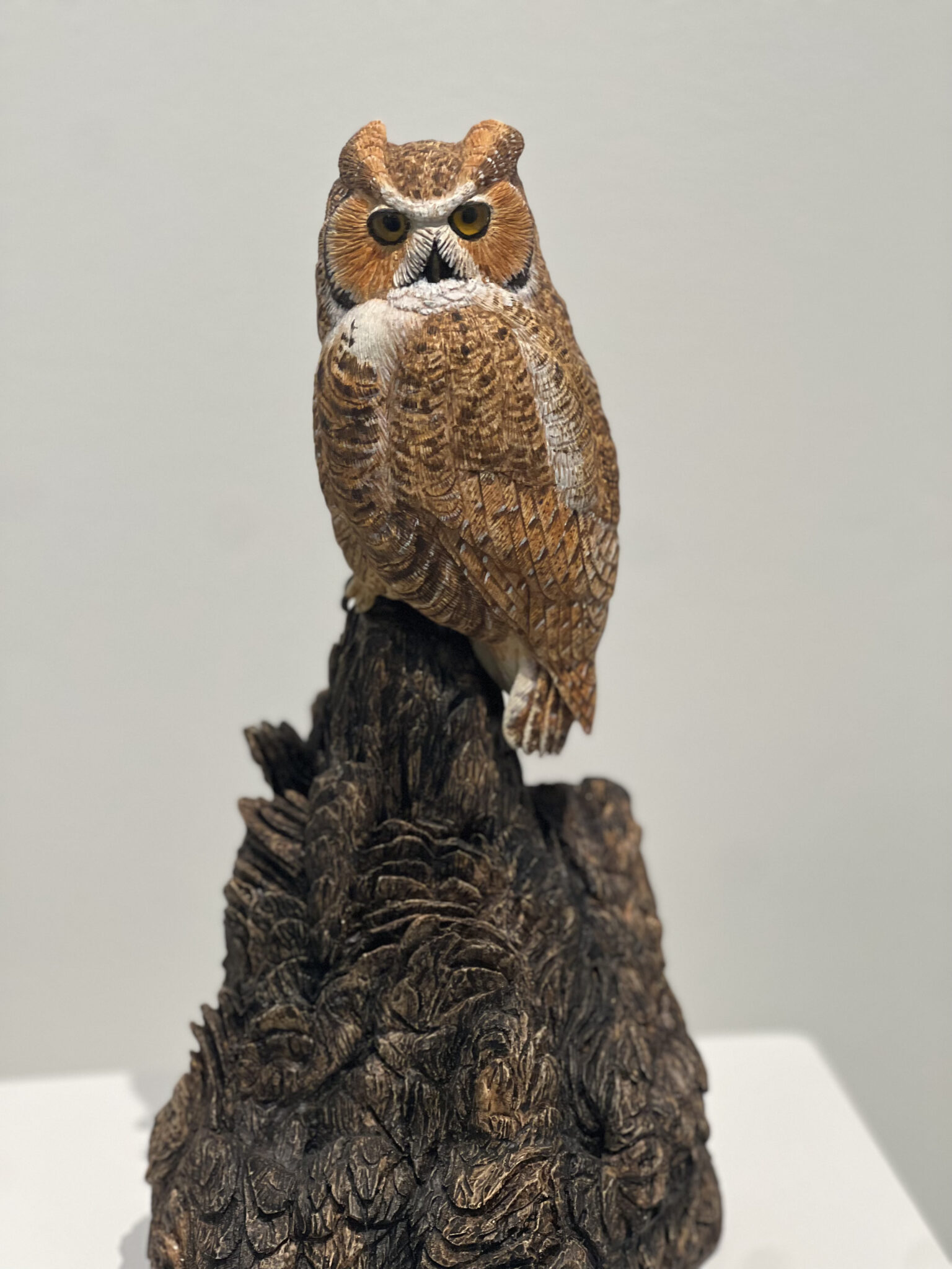 The Goodwin Gallery - SKyPAC