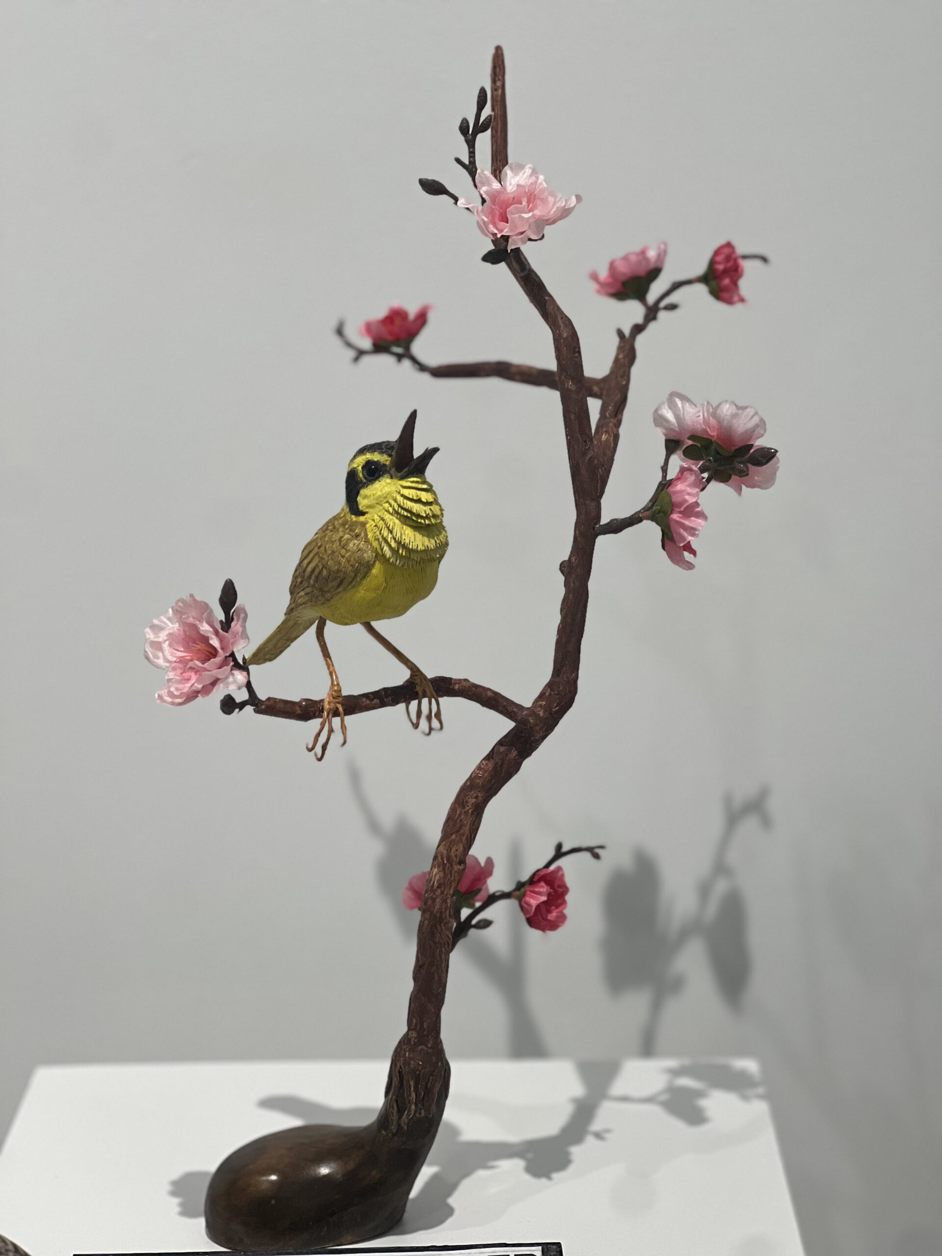 The Goodwin Gallery - SKyPAC